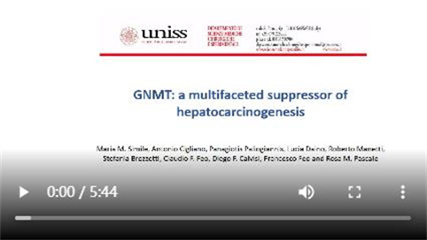 GNMT: a multifaceted suppressor of hepatocarcinogenesis