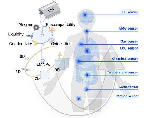 OAE Publishing Inc. - Gold Open Access Journal Publisher