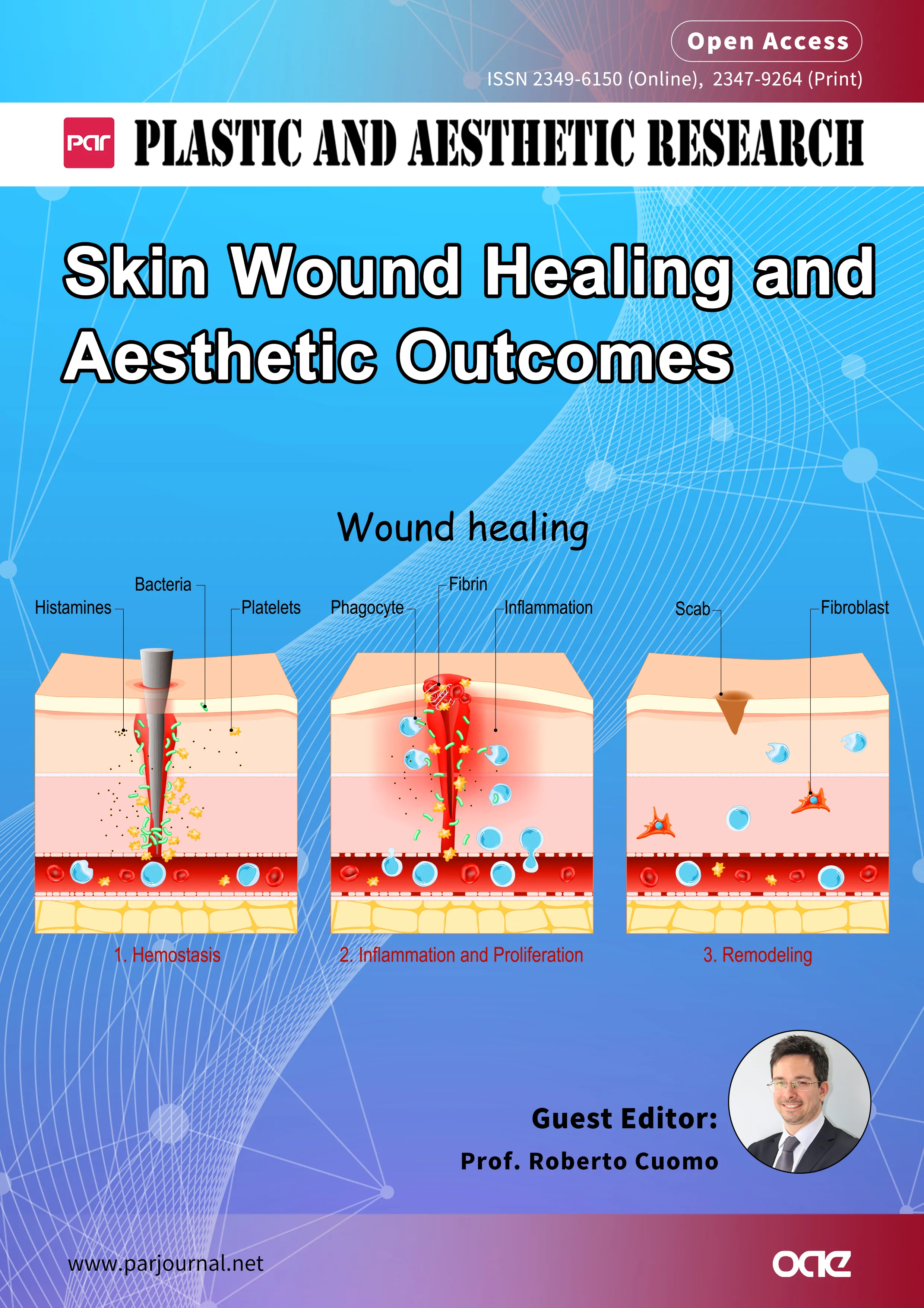 Wound Healing Skin
