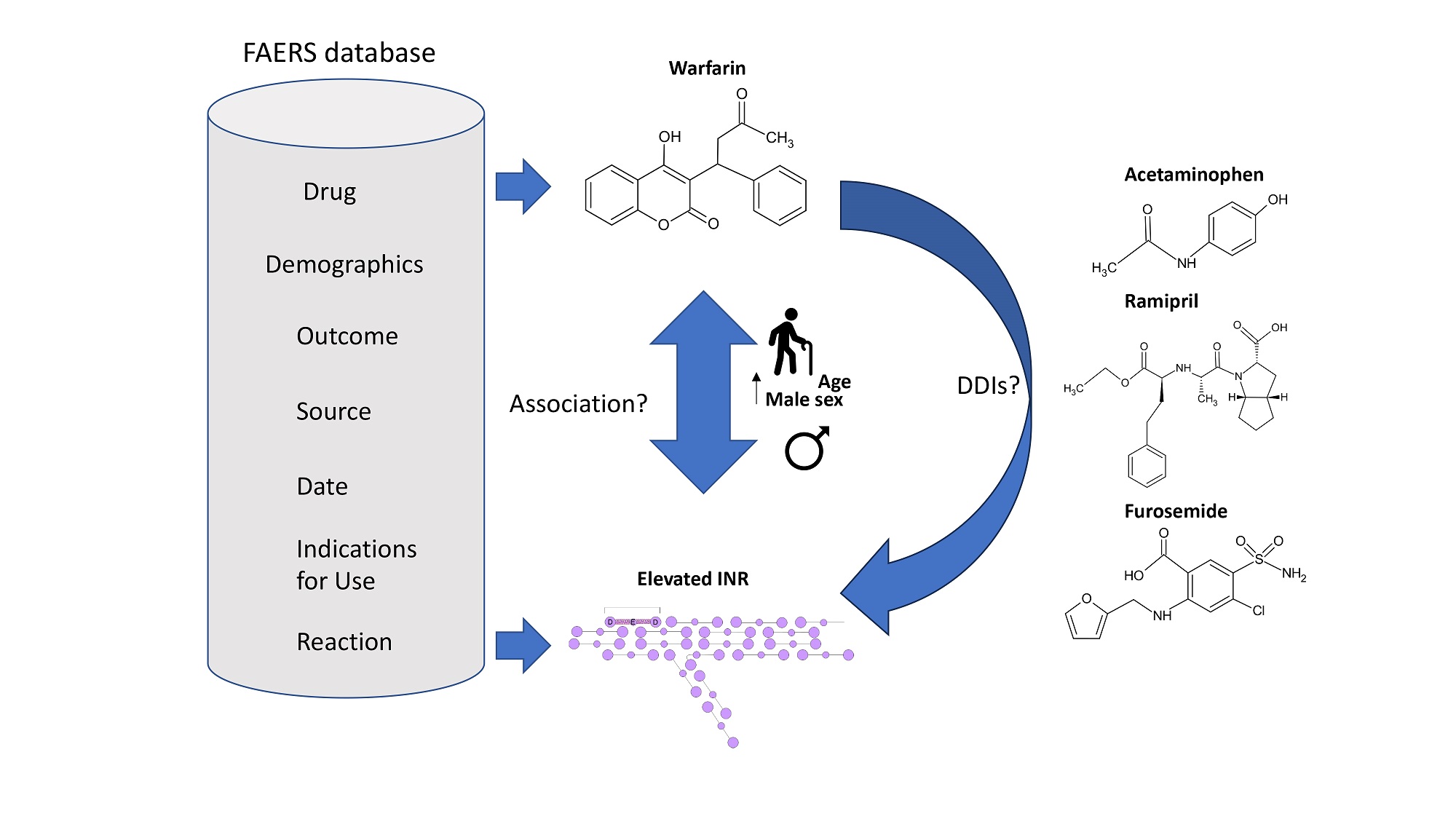 The relationship between INR increase and warfarin use.